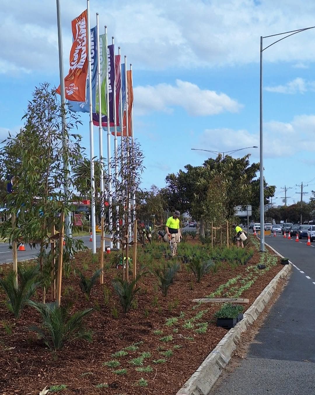 Our Services - Thicket Planting