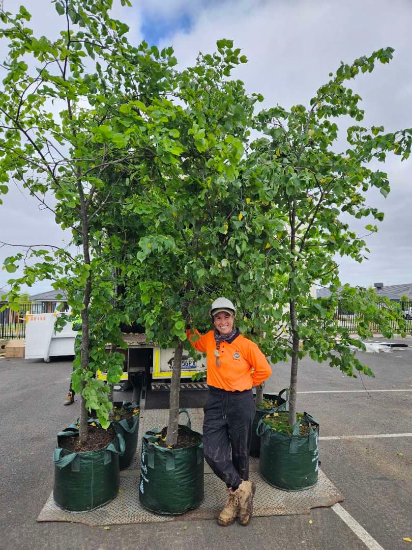 Careers - Thicket Planting